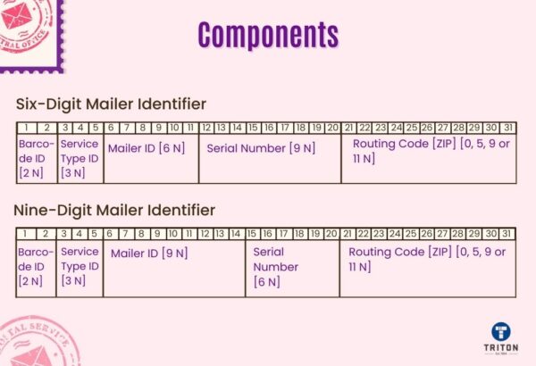 A Complete Guide to Intelligent Mail Barcodes