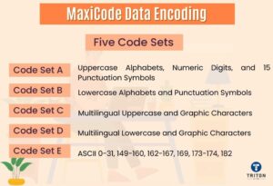 What are MaxiCode Barcodes? - A Detailed Explanation