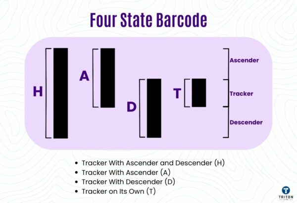 Australia Post Barcode: Uses, Types, and How to Create & Print