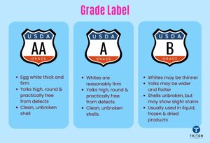 What is Labelling? - Definition, Importance, Types and More