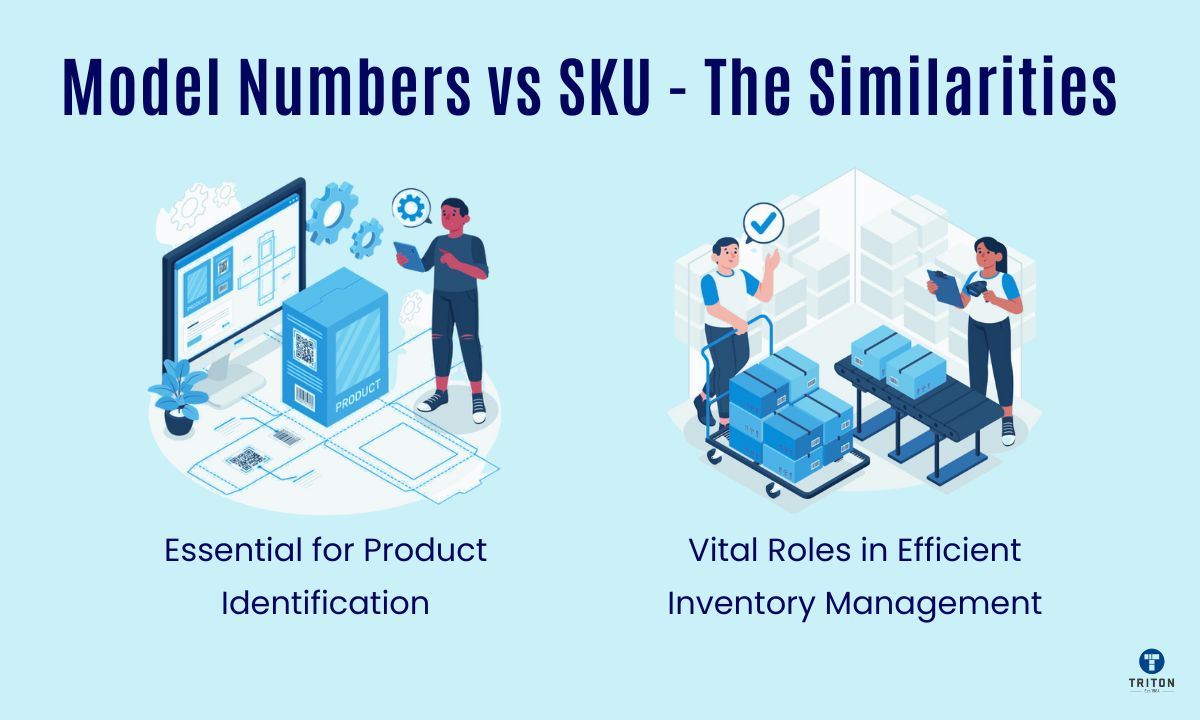 SKU vs Model Number: Decoding Product Identifiers