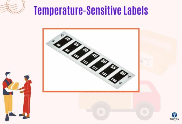 What is a Shipping Label? - Unpacking the Essentials