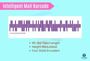 Identifying Barcode Types Visually - Tips and Tricks