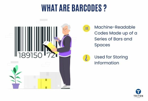 How Do Barcode Scanners Work? An In-Depth Look
