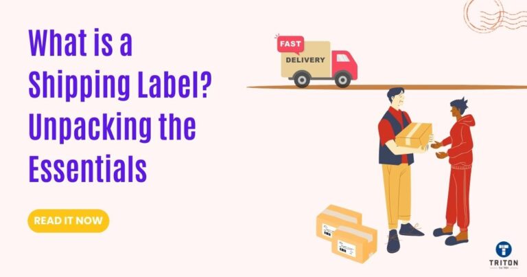 How do QR Codes Work - The Mystery Behind QRs [Decoded]